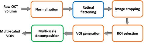 Figure 1 From Macular Oct Classification Using A Multi Scale Convolutional Neural Network