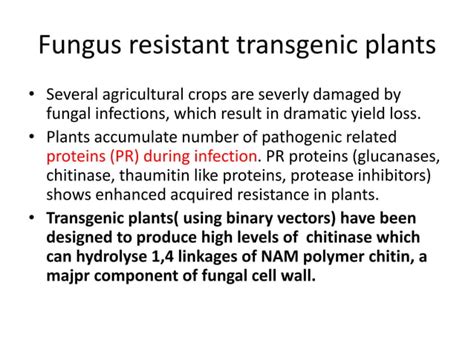 Transgenic Plants Methods Ppt