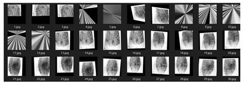 指纹识别实战 基于TensorFlow实现 腾讯云开发者社区 腾讯云