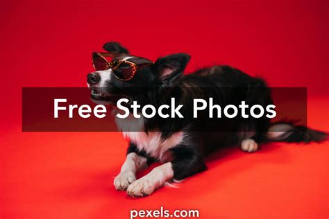 Smart Expression Photos Download The Best Free Smart Expression Stock