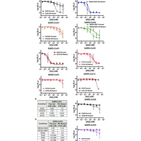 Hexamer Formation Detected Using Facs Based C1q Binding Assay A