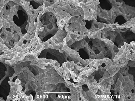 Preparation Method Of Nano Cellulose Chitosan Polycaprolactone Porous Scaffold Eureka Patsnap