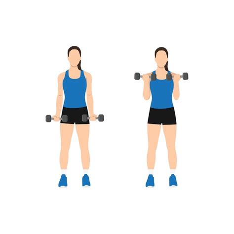 Bicep Curls Diagram 10 Best Bicep Curl Variations To Build Muscle In