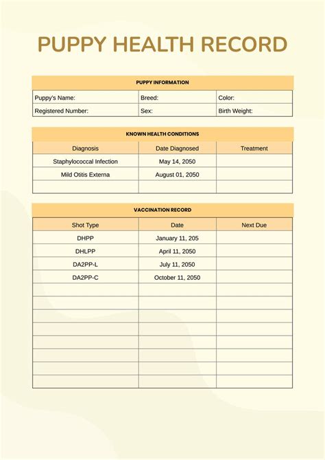 Free Patient Chart Templates Editable And Printable