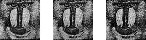 A Original Image B Noisy Image Gaussian And Impulsive Noise C Download Scientific