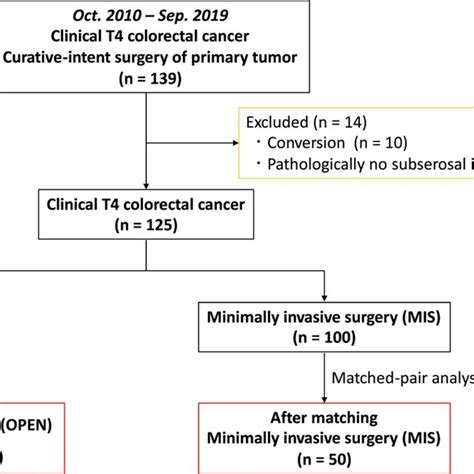 patient flow and selection algorithm mis minimally invasive surgery