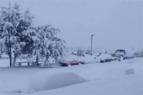 სამხრეთ აფრიკაში წარმოუდგენლად დიდი თოვლი მოვიდა