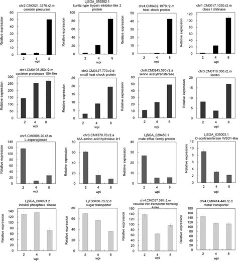 Comparison Of Relative Expression Levels In The Microarray Analysis Download Scientific Diagram
