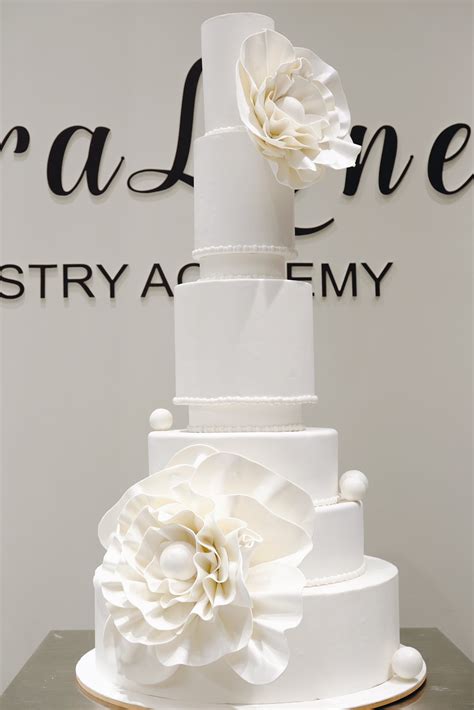 Praline • პრალინე Added A New Photo Praline • პრალინე