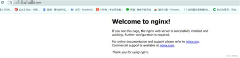Docker 使用 Nginx 并配置域名docker Nginx 配置 Csdn博客