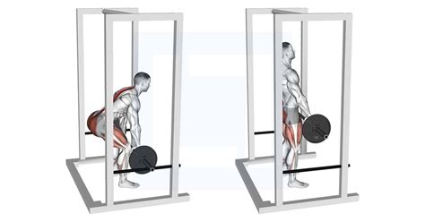Snatch Pull Guide Benefits And Form