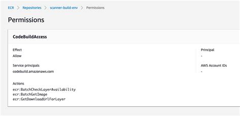 Scanning Images With Trivy In An Aws Codepipeline Containers