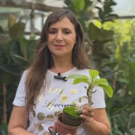 Marisel Experta En Plantas “el Poto Es El Rey De Las Plantas Acuáticas Y Una De Las Más