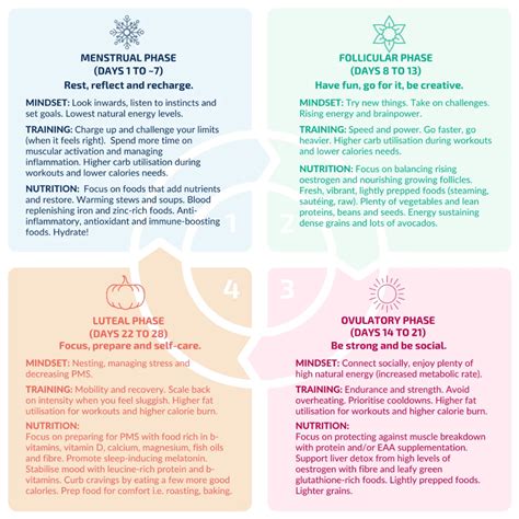 Cycle Syncing How To Adapt Your Training To Your Menstrual Cycle Artofit