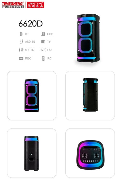 Temeisheng Double Inch Portable Bluetooth Led Party Speaker Double Inch And Portable Price