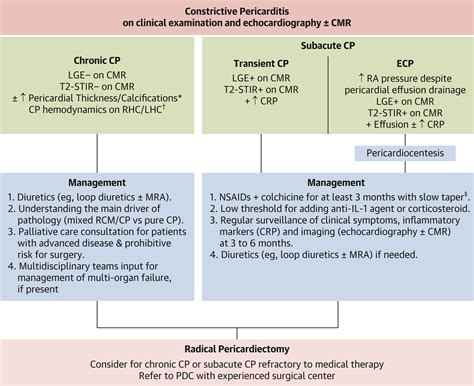 2025 Concise Clinical Guidance An Acc Expert Consensus Statement On The Diagnosis And