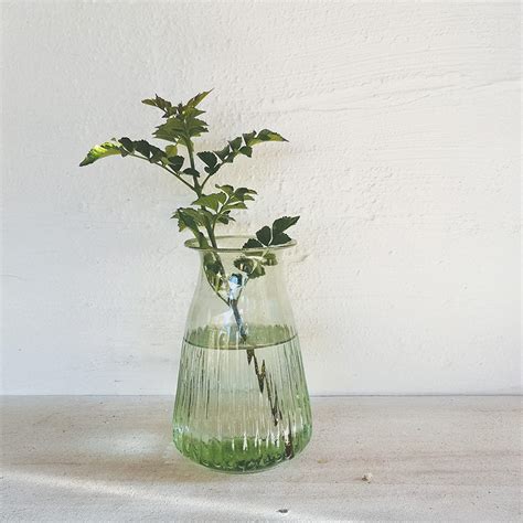 Ribbed Green Glass Posy Vase Recycled Glass Décor The Kew Shop