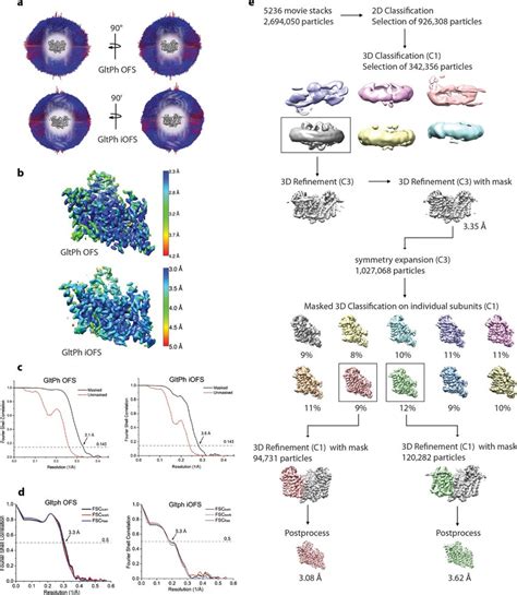 Cryo Em Data Processing A Angular Distribution Of Particles