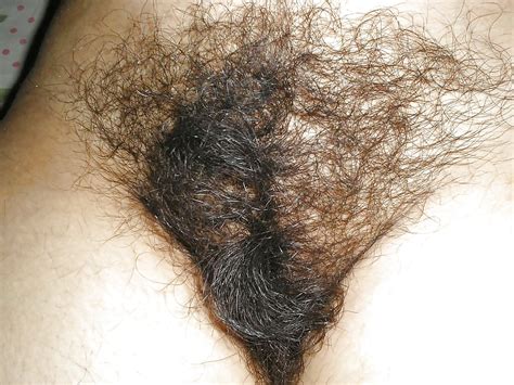 Random Hairy Pussy Photo X Vid Com