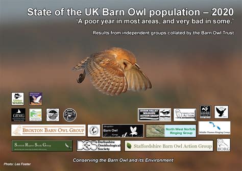 State Of The Uk Barn Owl Population 2020 The Barn Owl Trust