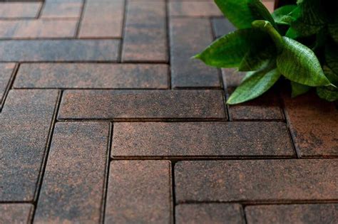 Тротуарная плитка: Виды, Преимущества и Укладка