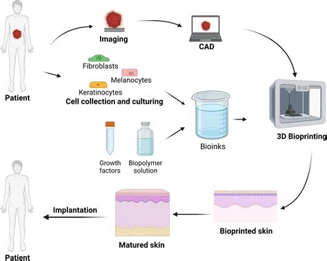 Technological Advances In Three Dimensional Skin Tissue Engineering