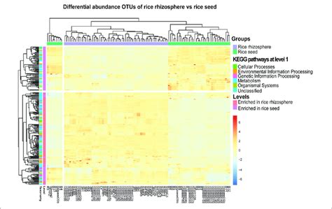 The Heatmap Representing The Picrust Predicted Bacterial Functional