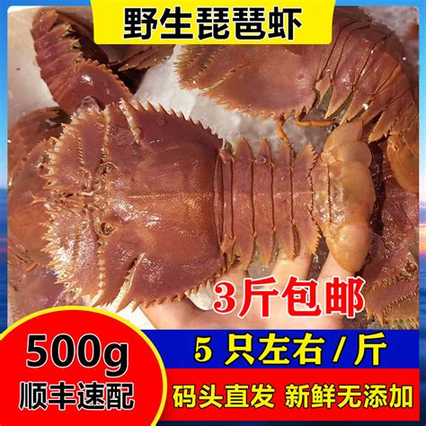 犀牛虾淡水 犀牛虾 伤感说说吧