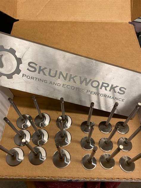 Skunkworks Skunkworks Porting And Ecotec Performance