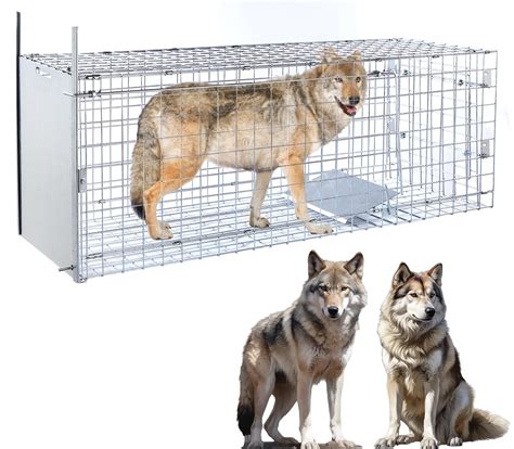Heavy Duty Coyote Live Trap Southern Snares Heavy Duty Live Catch