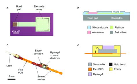 Sensor Design And Fabrication A Microscope Image Of The 3 × 3