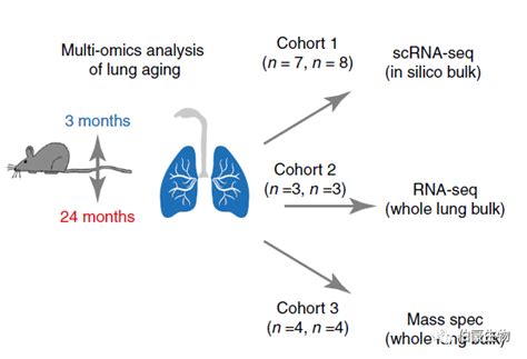 双剑合璧 Scrna Seq 与 Bulk Rna Seq 联合分析 科研动态 上海伯豪生物技术有限公司 服务科技创新，护航人类健康！