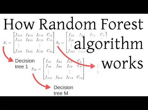 How Random Forest Algorithm Works YouTube