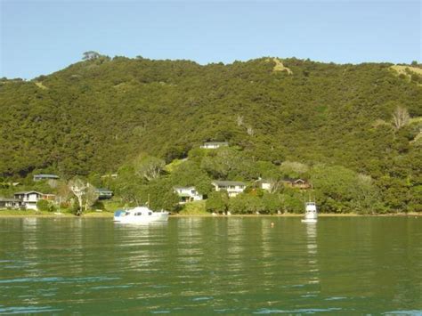 Bay House Longshot1
