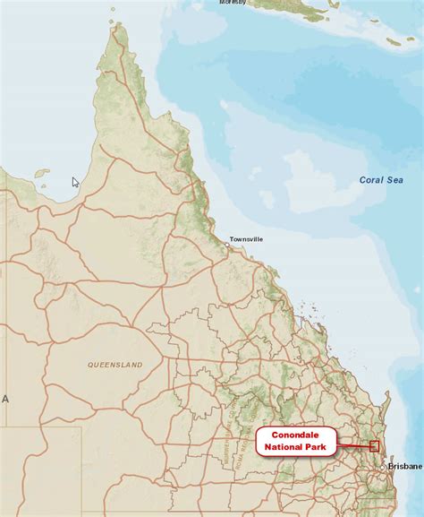 Tallest Tree Recorded In Queensland Found With GIS ArcWatch
