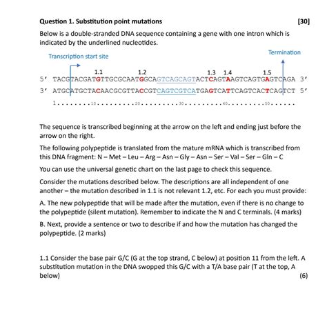 Question 1 Substitution Point Mutations Studyx