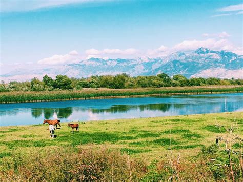 Impact As A New Asset Class Part I Axessimpact