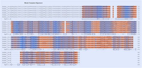 Secondary Structure Alignment Between Protease Models And Template Pdb Download Scientific