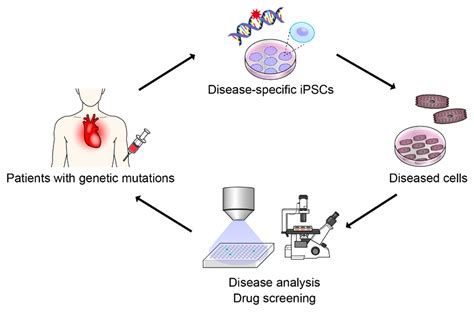 Pharmaceuticals Free Full Text Induced Pluripotent Stem Cell Based
