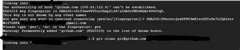 Linux Gcp Vm Terminal Gets Stuck When I Try To Clone A Git Repo