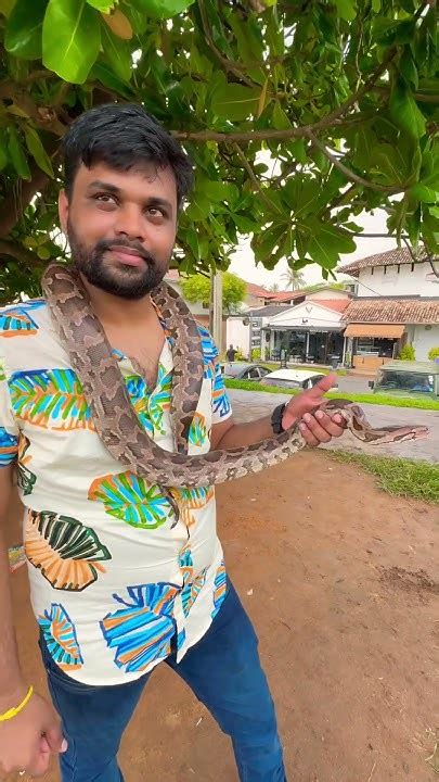 With Python In Srilanka 🇱🇰 Youtube