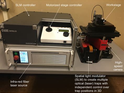 Optical Tweezers And Their Application To Biological Systems At Velma