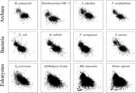 基于第二密码子位置碱基频率的原核基因一致聚类模式及其与功能类别偏好的关联interdisciplinary Sciences