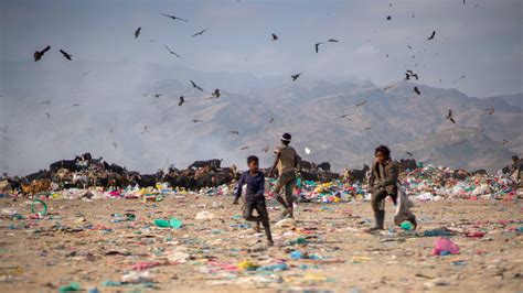 Report Launch Environmental Pathways For Reconciliation In Yemen Eip