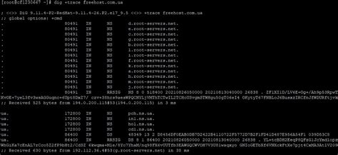 host nslookup dig whois ping Основные команды для работы с