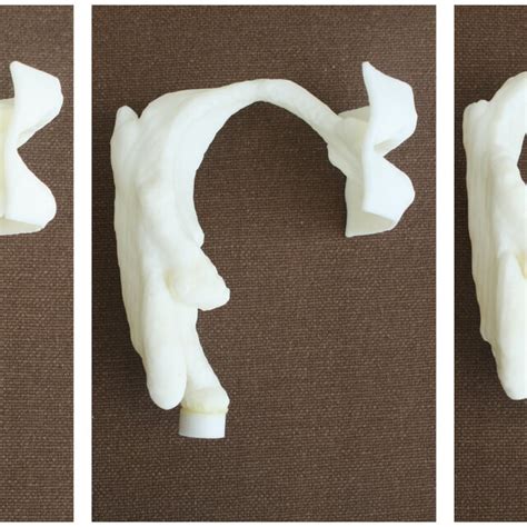 Physical Vt Models Of Articulation Geometries Corresponding To [] In Download Scientific