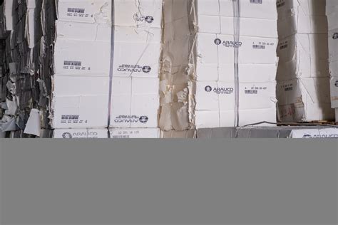 What Does Sustainable Paper Production Look Like Forest Stewardship
