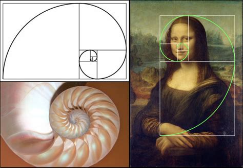 Have You Ever Wondered Why Mathematics Works Solas