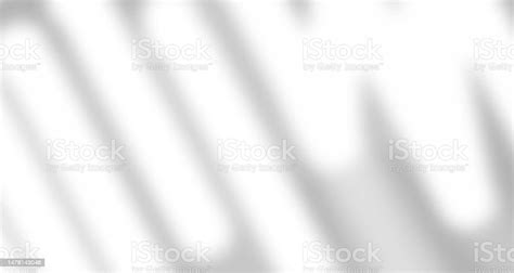 사실적인 흐릿한 자연광 나뭇잎 손바닥 및 창 그림자 오버레이가 벽 종이 또는 프레임 질감 추상 배경 여름 봄 가을에 제품