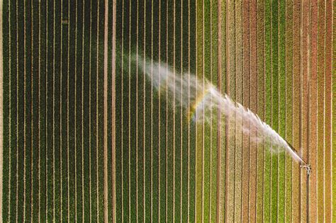 9 нови изисквания за устойчивост и еко земеделие Esg News